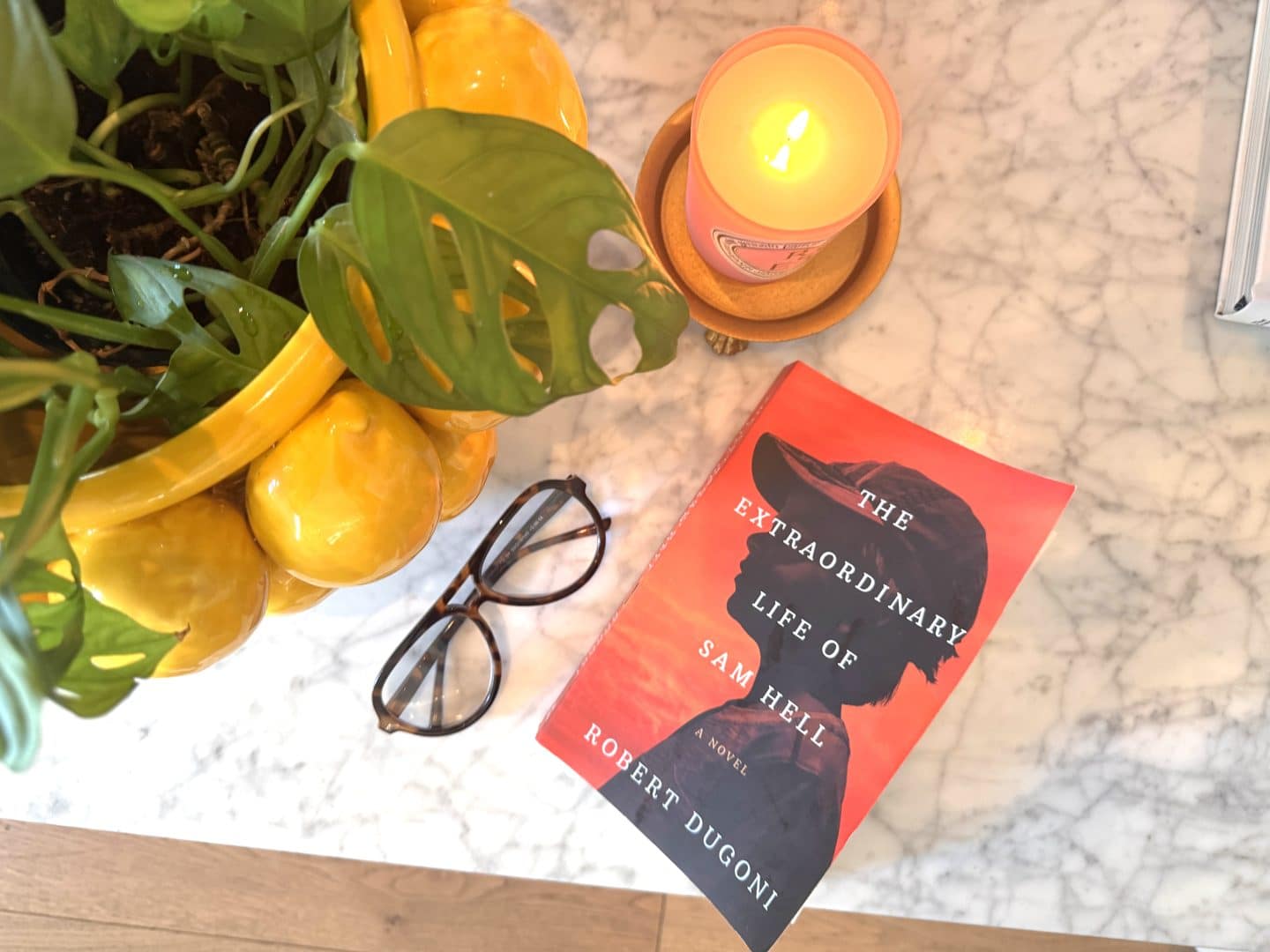 Read This: The Extraordinary Life of Sam Hell - The Wordy Girl